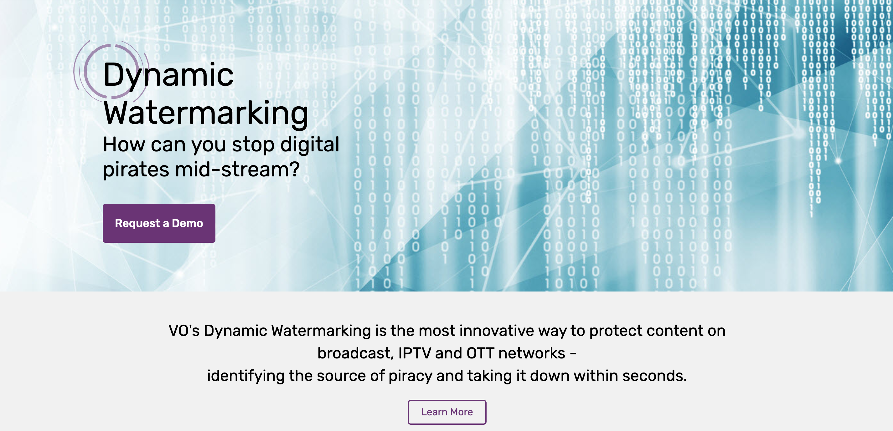 Dynamic watermarking